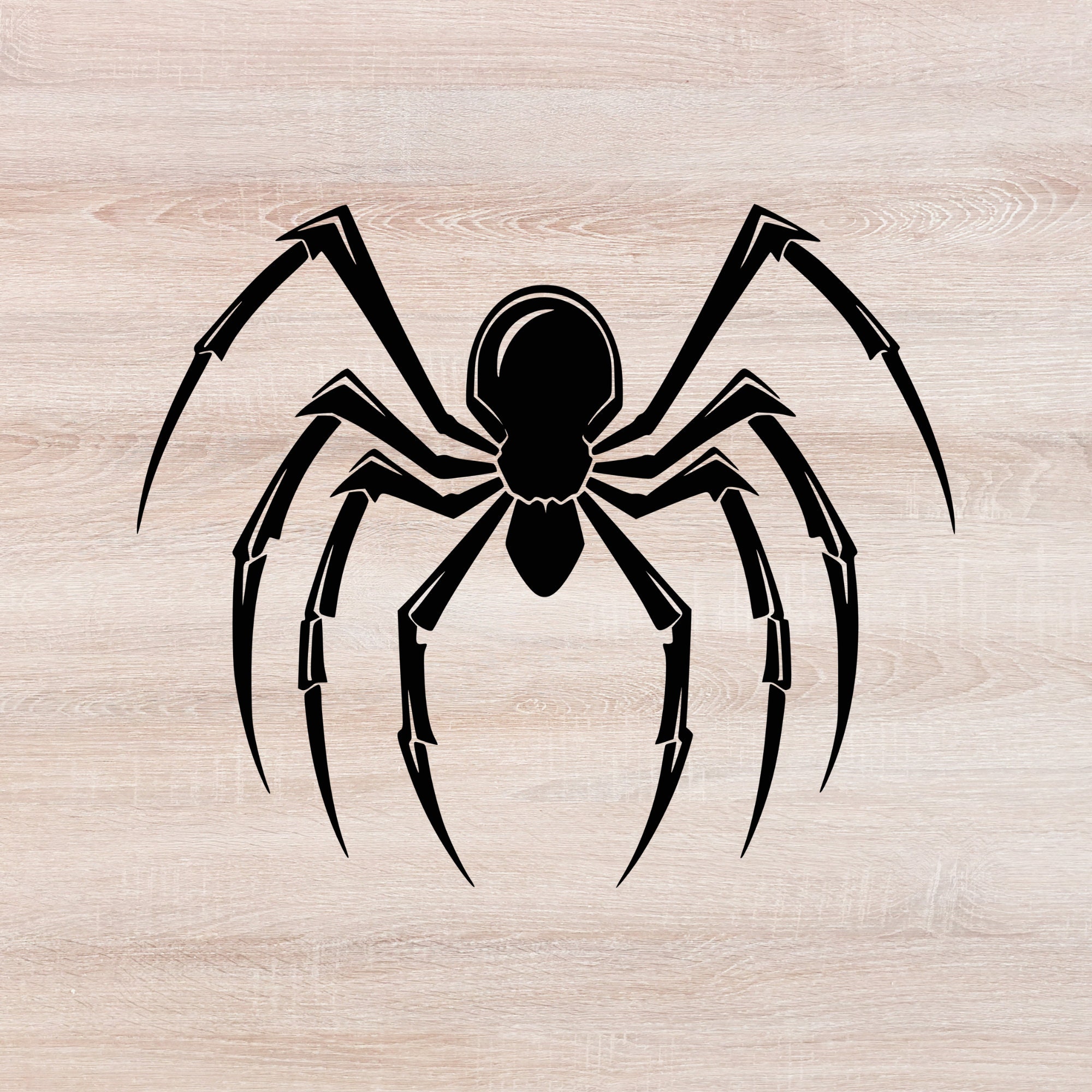 Spider SVG Bundle, Spider SVG, Halloween, Insect Svg, Png, Svg Files ...