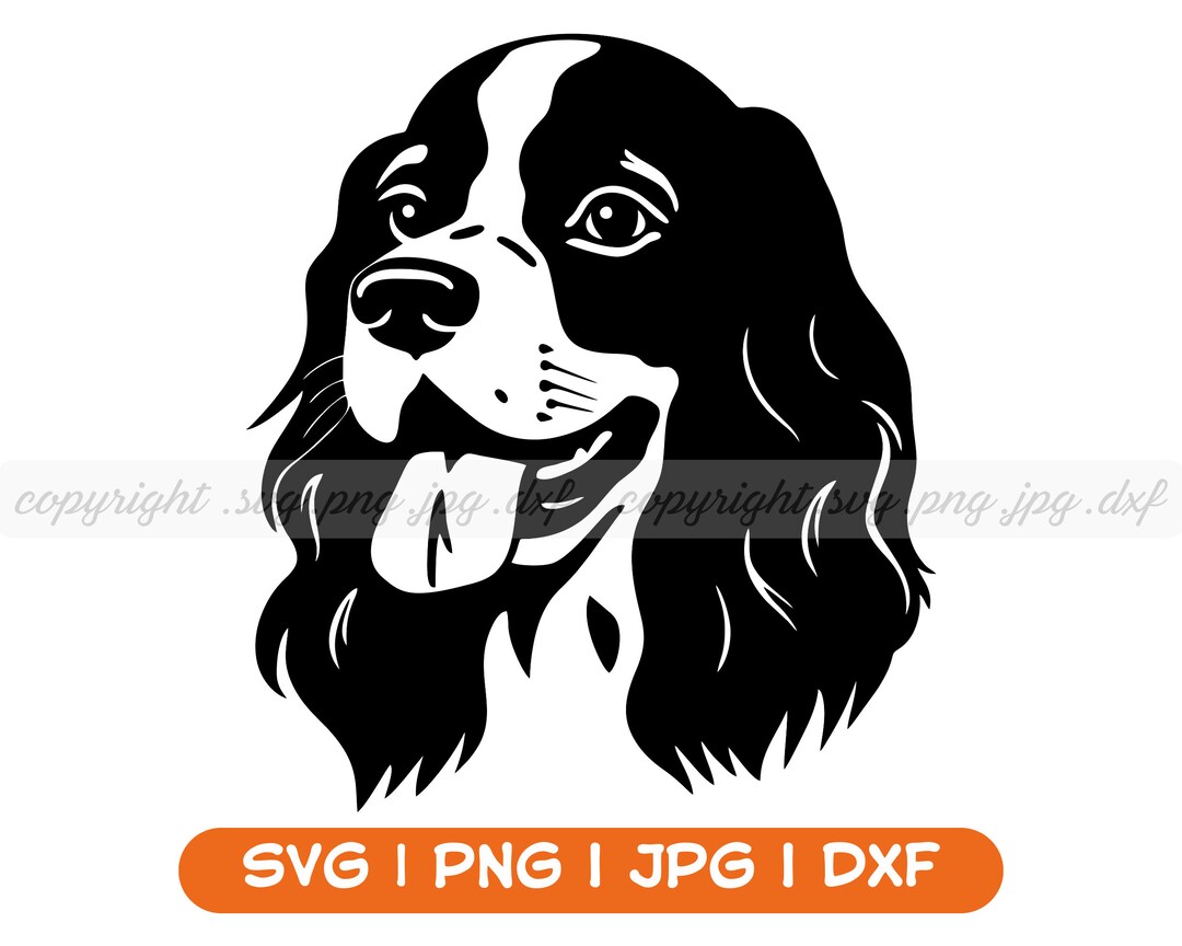 English Springer Spaniel Svg Dog Svg Files for Cricut Face - Etsy