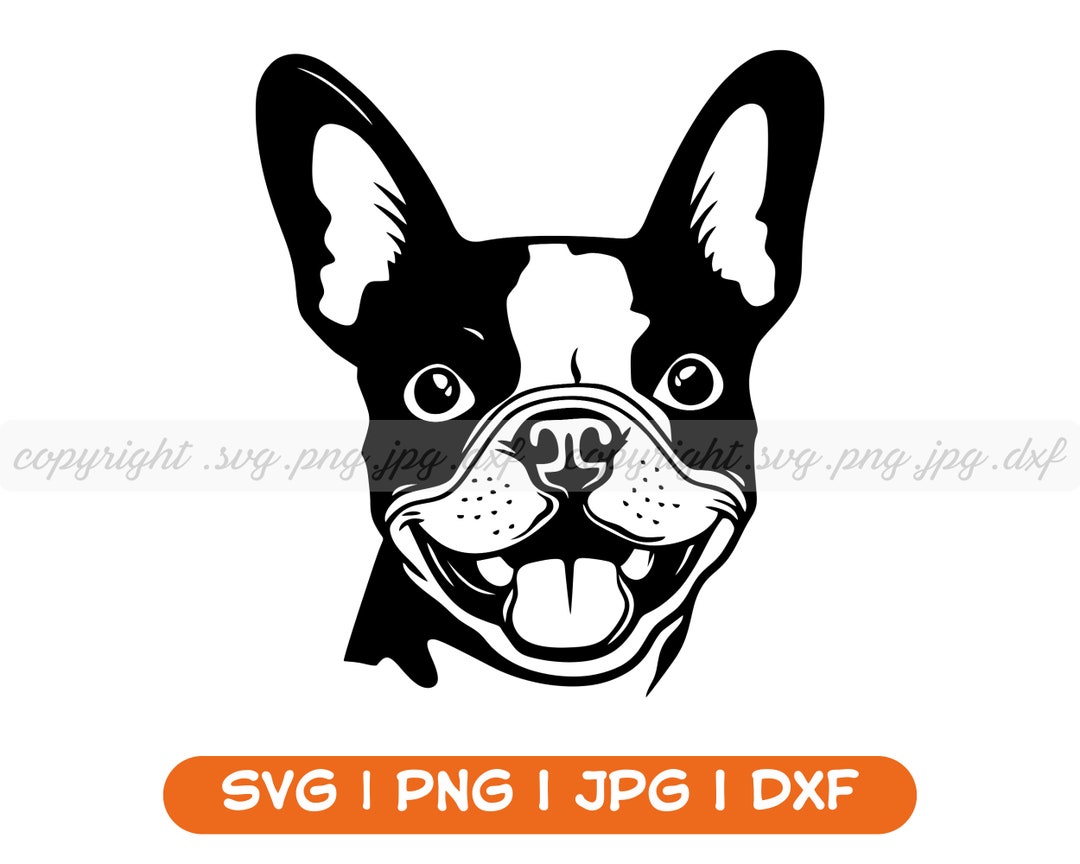 Boston Terrier Puppy Dog SVG Puppy Svg Dog Face Svg - Etsy