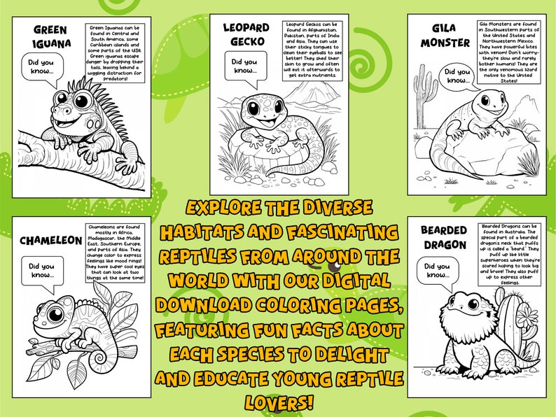 Reptile Coloring Pages: Amphibians & Mazes (digital Download) - Etsy