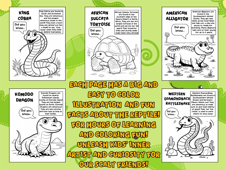 Reptile Coloring Pages: Amphibians & Mazes (digital Download) - Etsy ...