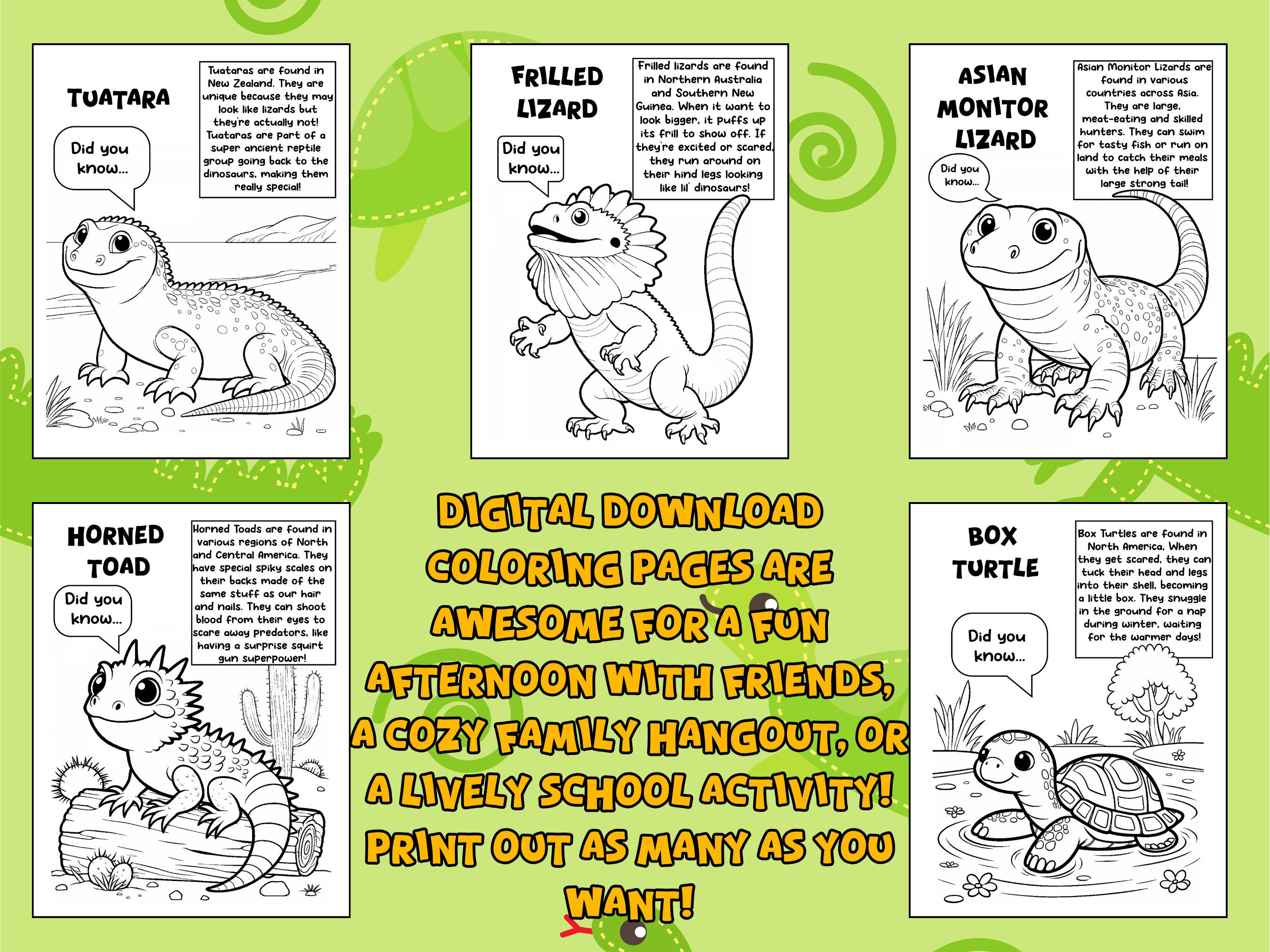 Reptile Adventures | 30 High Quality Coloring Pages | Digital Download ...