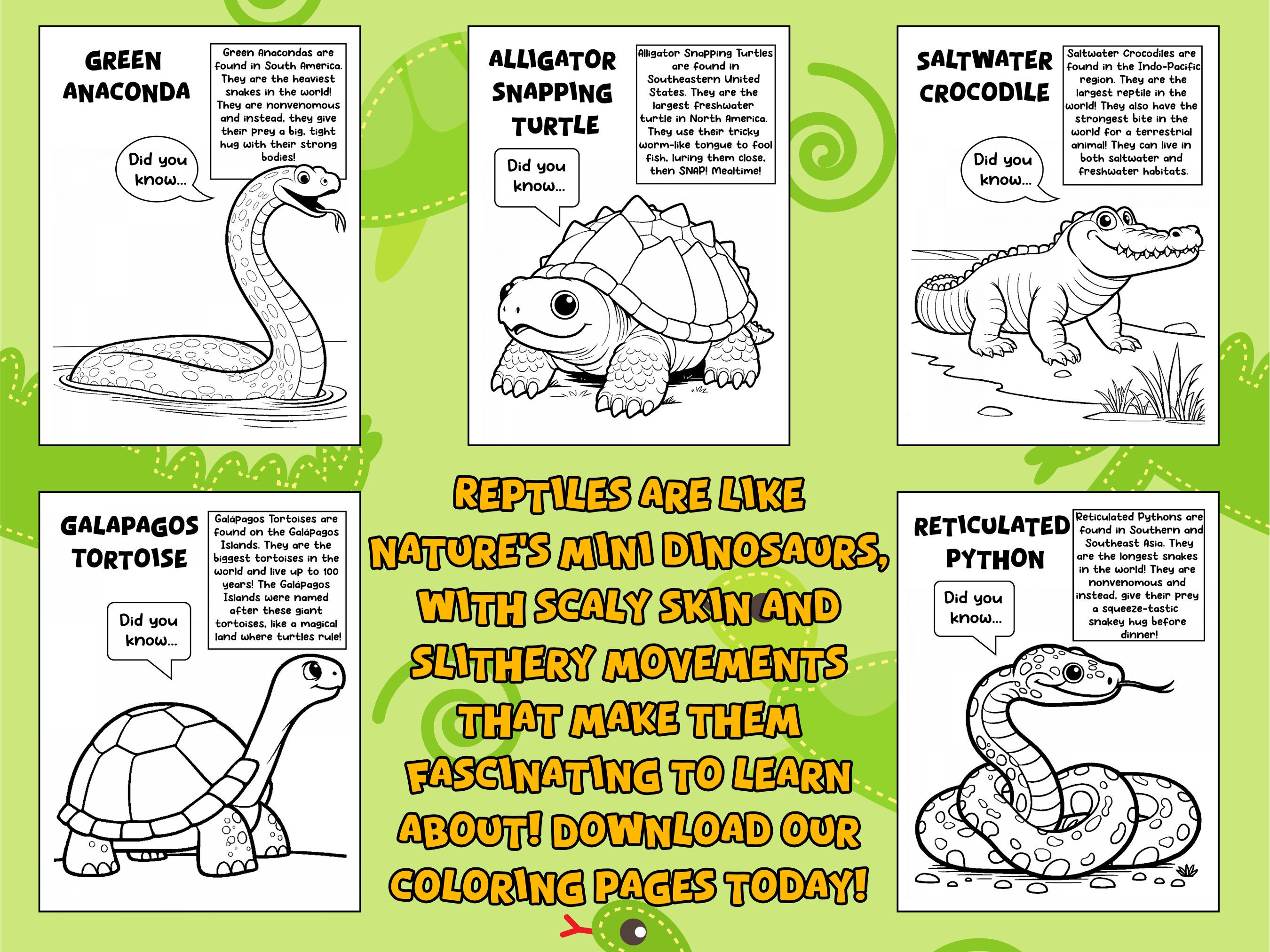Reptile Adventures | 30 High Quality Coloring Pages | Digital Download ...
