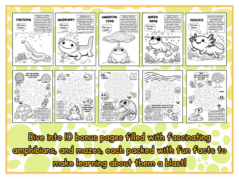 Reptile Coloring Pages | + Amphibians & Mazes | Digital Download - Etsy