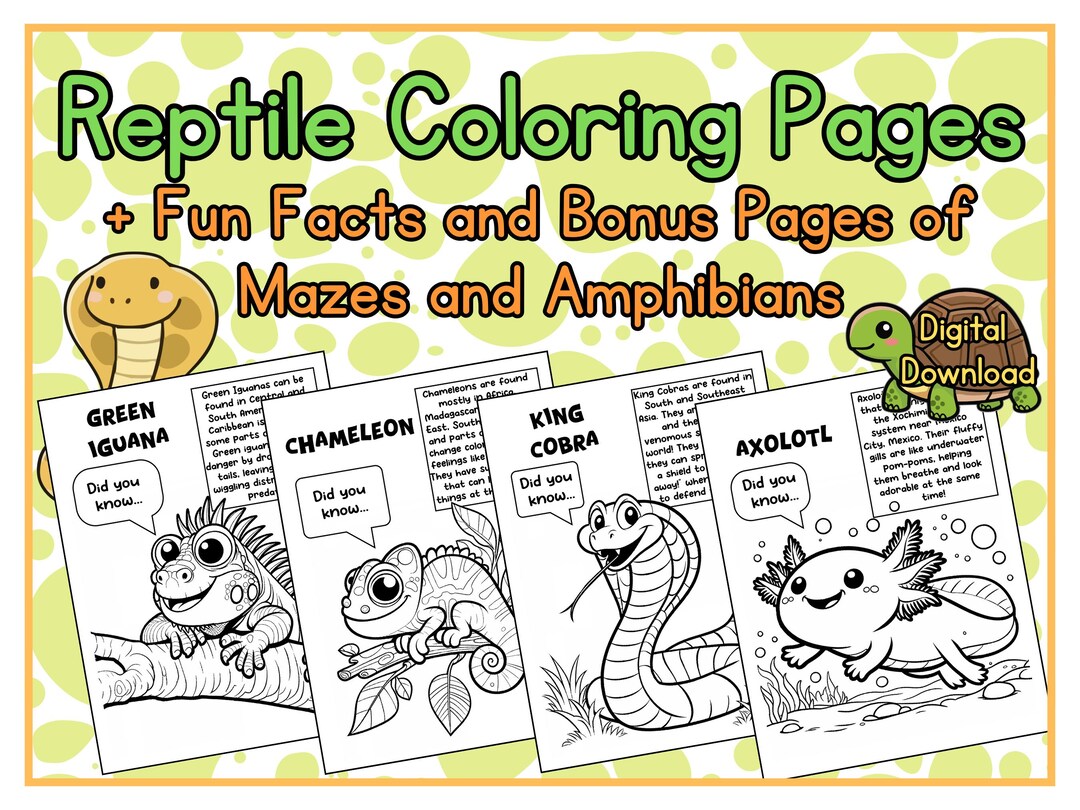 Reptile Coloring Pages | + Amphibians & Mazes | Digital Download - Etsy