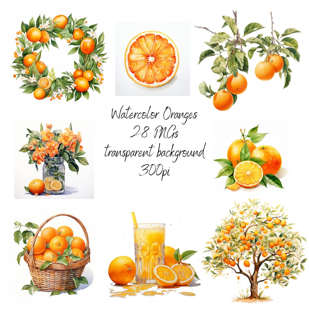 Watercolor Orange Clipart Digital Png Citrus Graphics for - Etsy