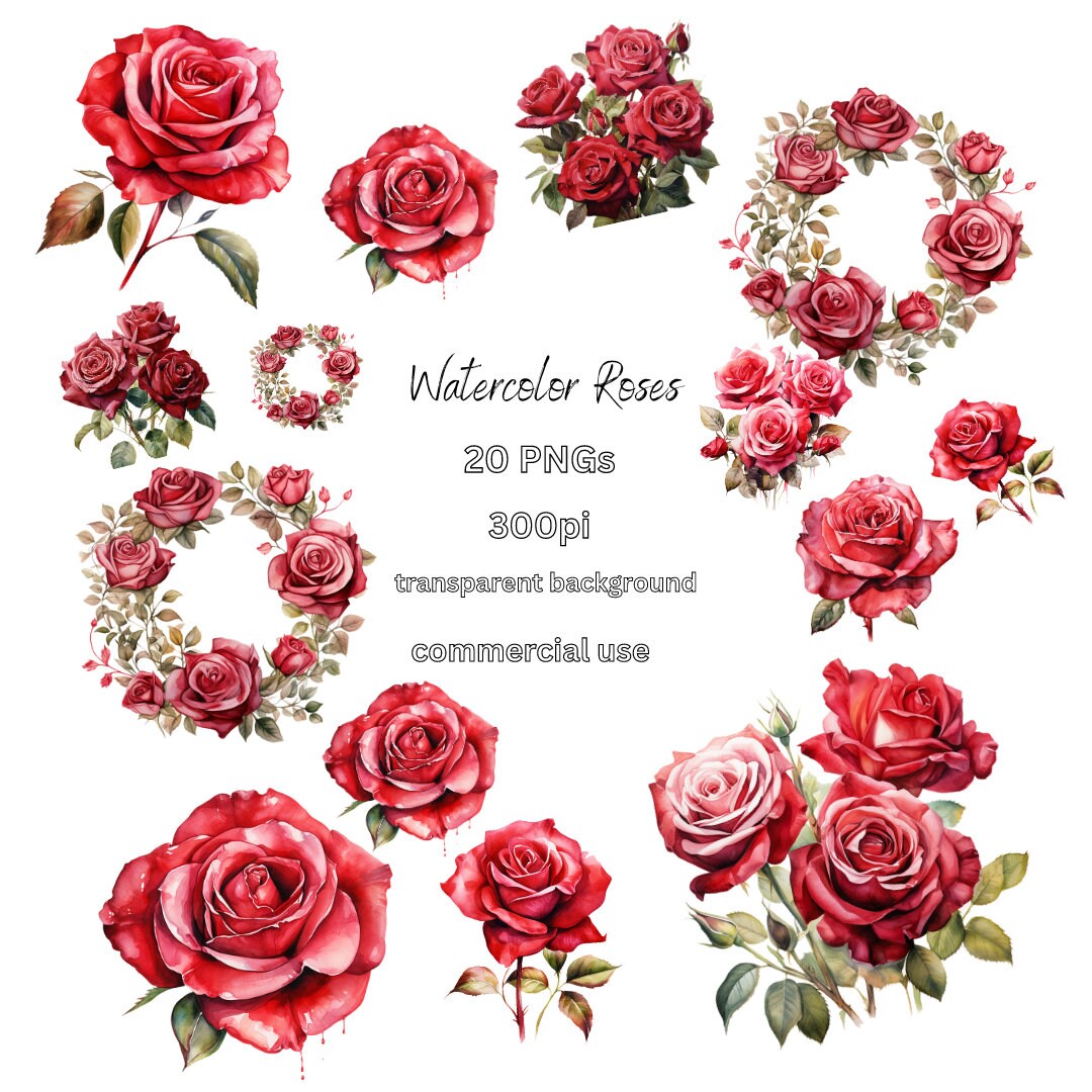 Watercolor Red Roses Clipart - PNG Files of Red Roses for Commercial ...