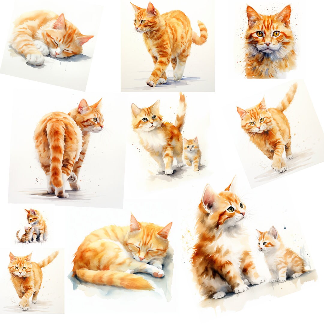 Watercolor Orange Cat Clipart - 23 Pngs, 300pi, Transparent Background ...