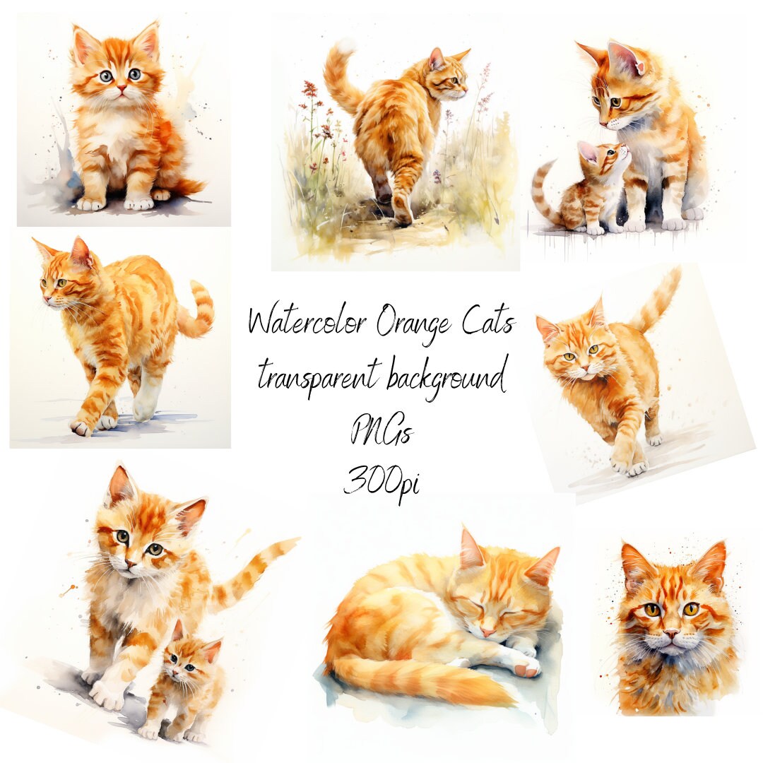 Watercolor Orange Cat Clipart - 23 Pngs, 300pi, Transparent Background ...
