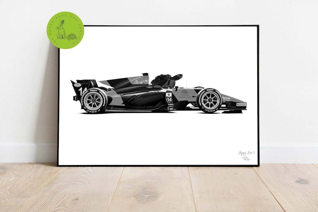 Tortoise F1 Car Print | Funny Reptile | F1 Car | Animal Driving | Racer ...
