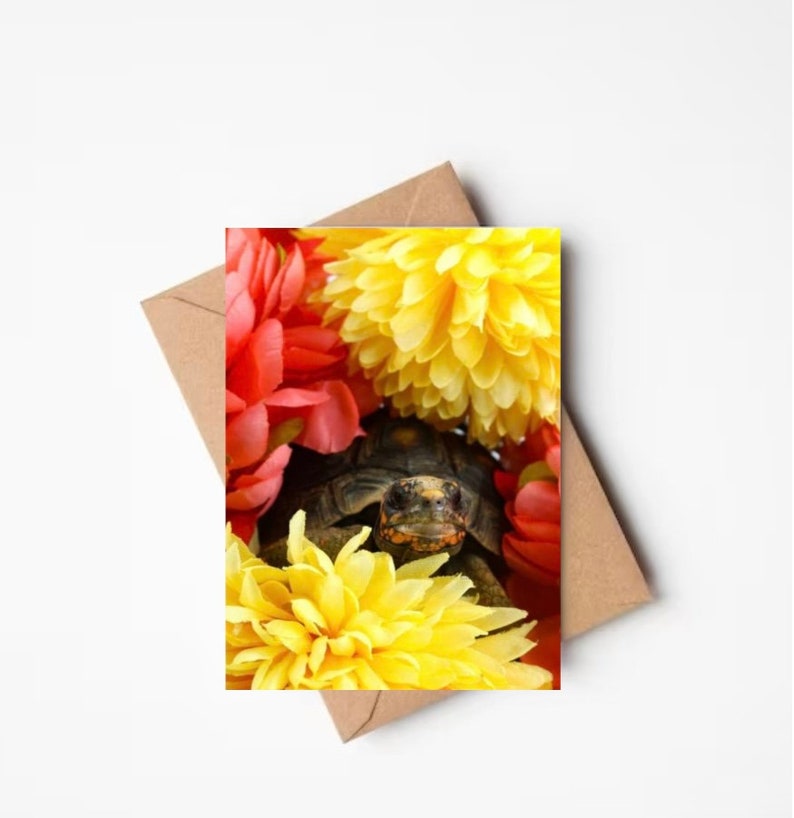 Tortoise Birthday Card Redfoot Tortoise Turtle Card Tortoise Lovers ...