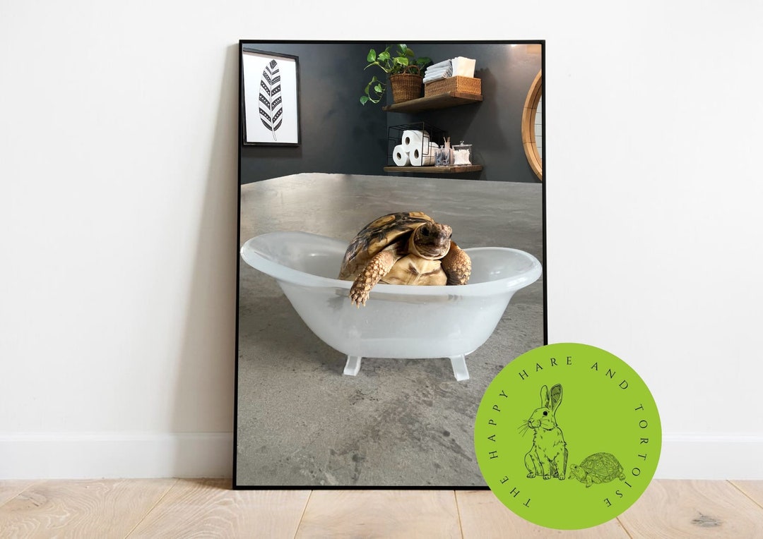 Tortoise Bath Print | Exotic Animal | Bathroom Decor | Fun Wall Idea ...
