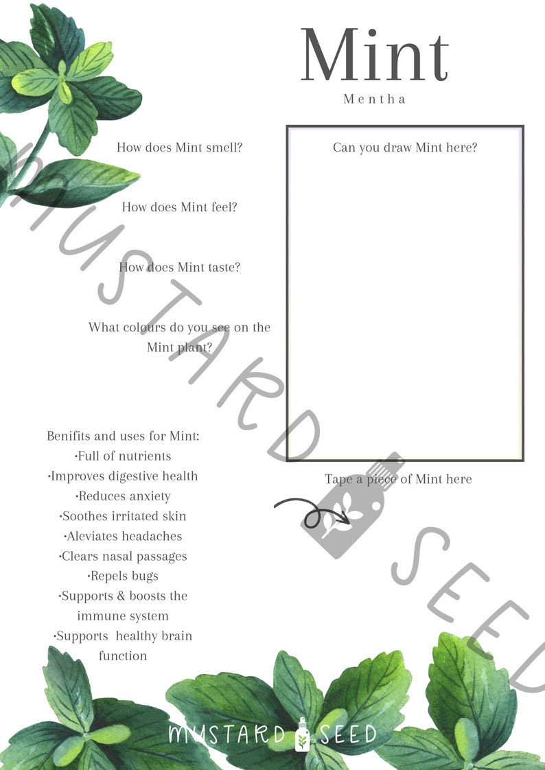 Introduction to Herbs | Herbal Education | Herbalism Starter ...