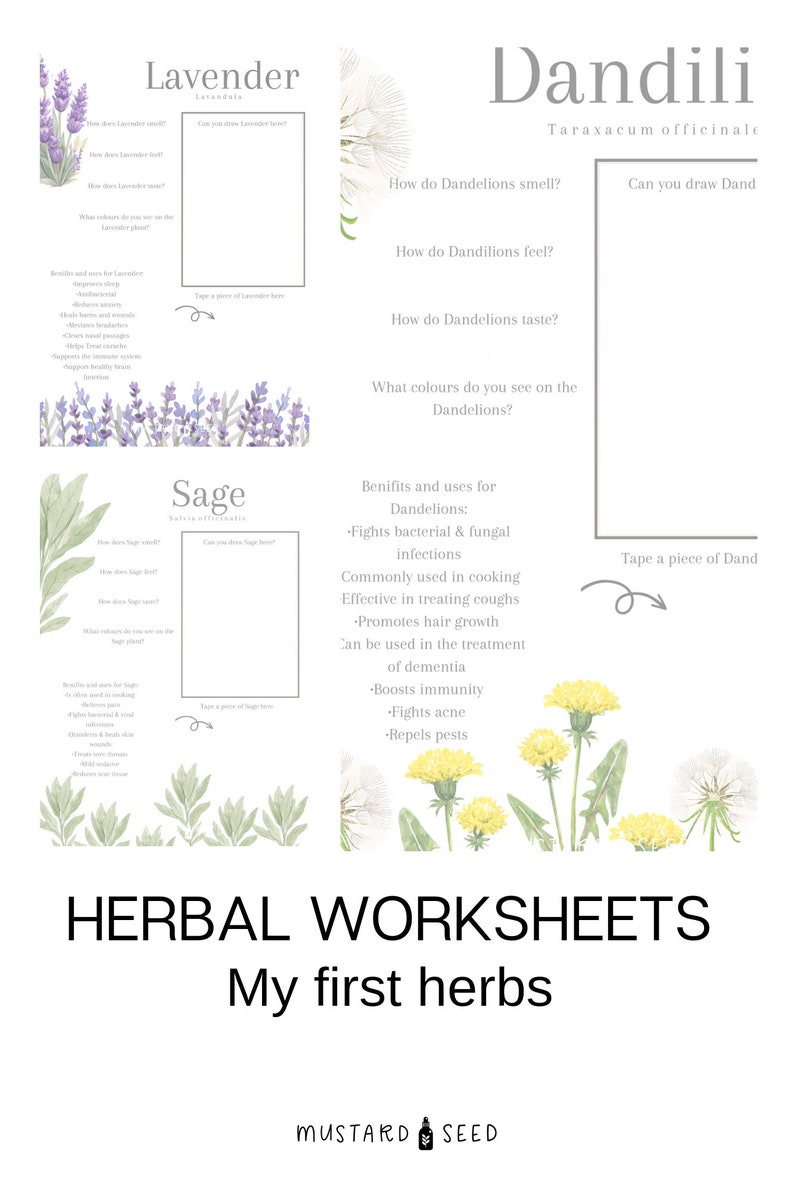 Introduction to Herbs | Herbal Education | Herbalism Starter ...