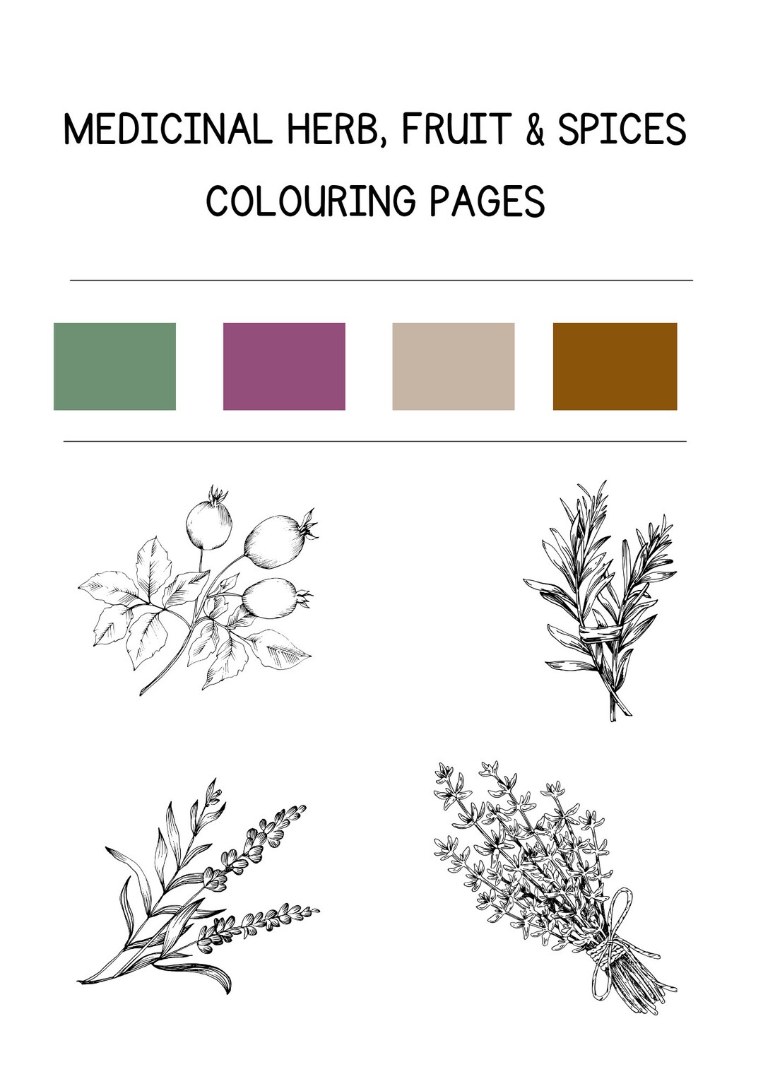 Medicinal Herb, Fruit & Spice Colouring/painting Pages - Etsy