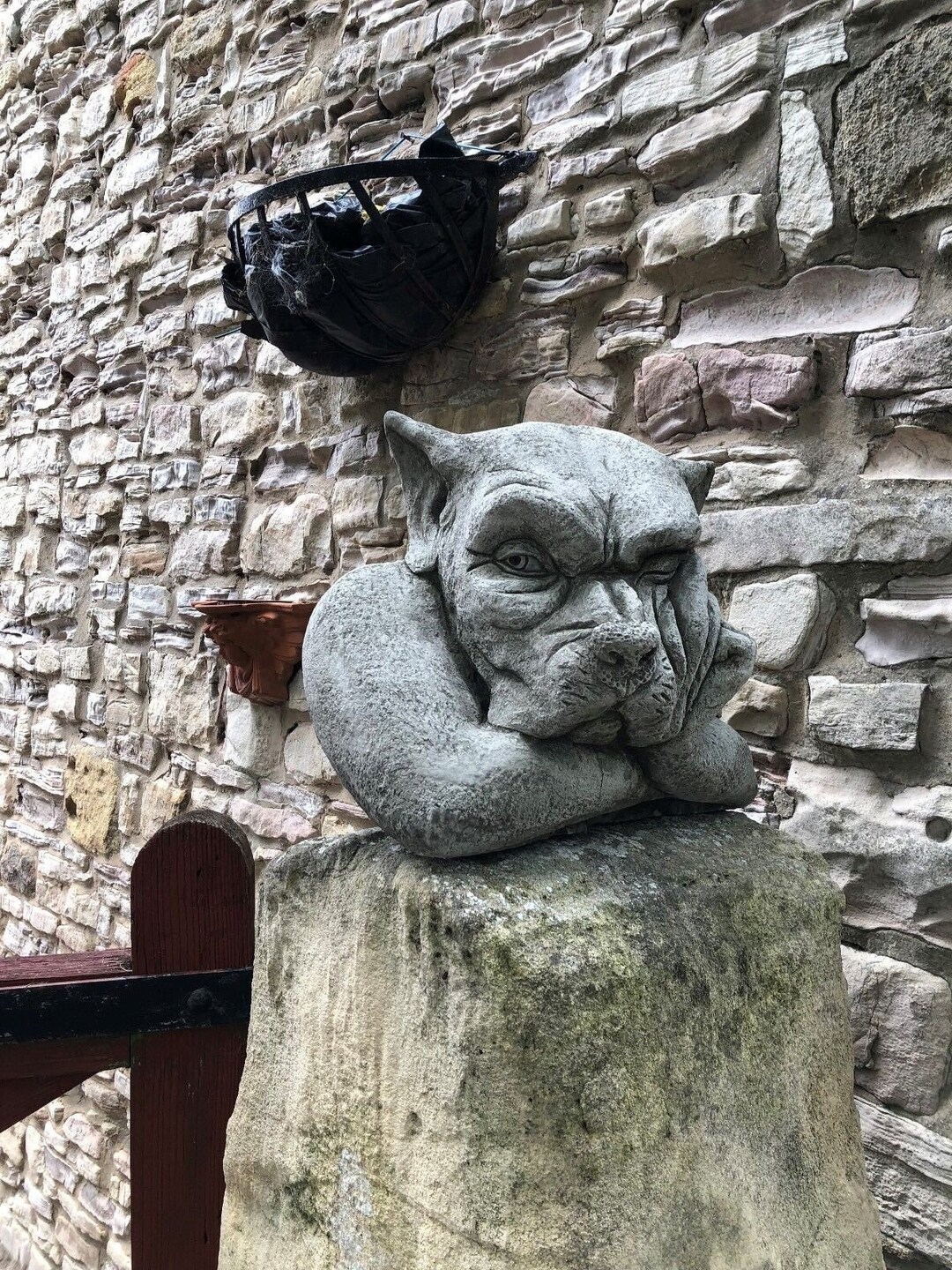 Gargoyle Dog Statue Fantasy Bust Sculpture Concrete Figurine Gothic ...