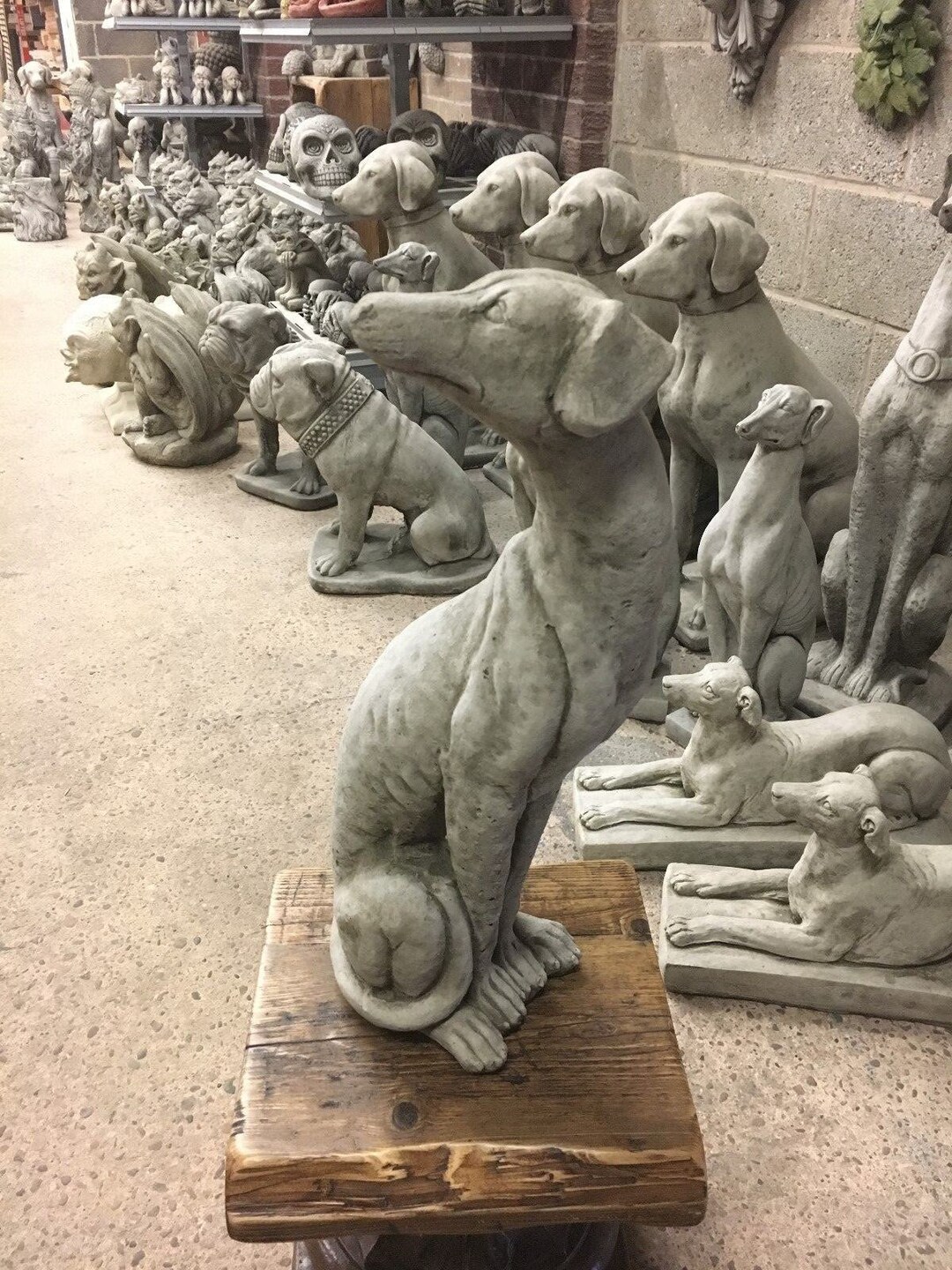 Outdoor Greyhound Statue Cement Animal Sculpture Concrete Dog - Etsy