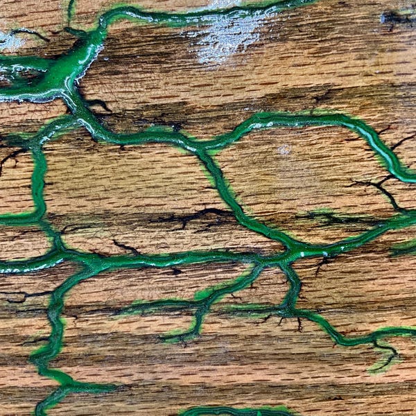 Electrocuted Wood - Etsy