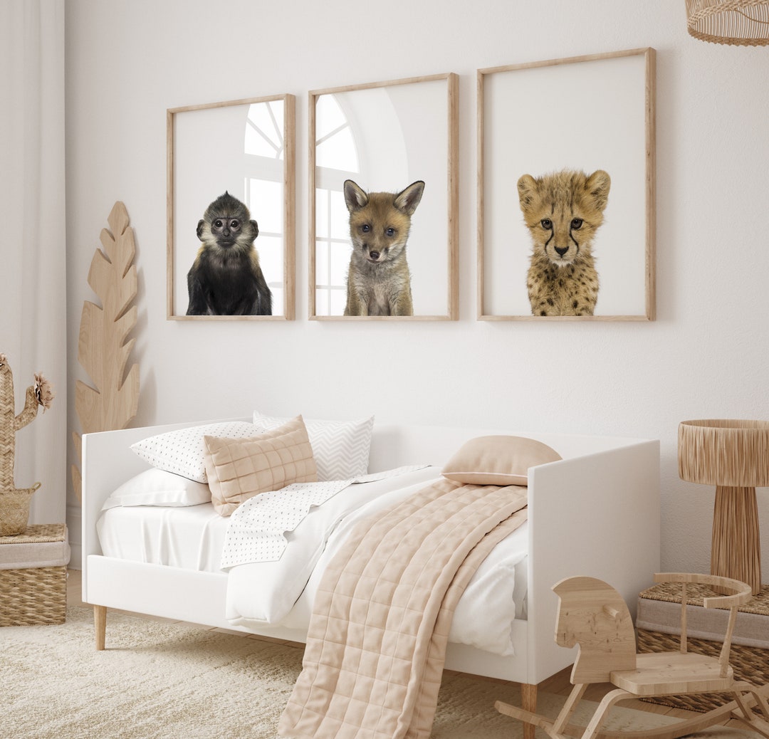 Baby Animal Photo Prints Set Nursery Animals Real Animal Photos for ...