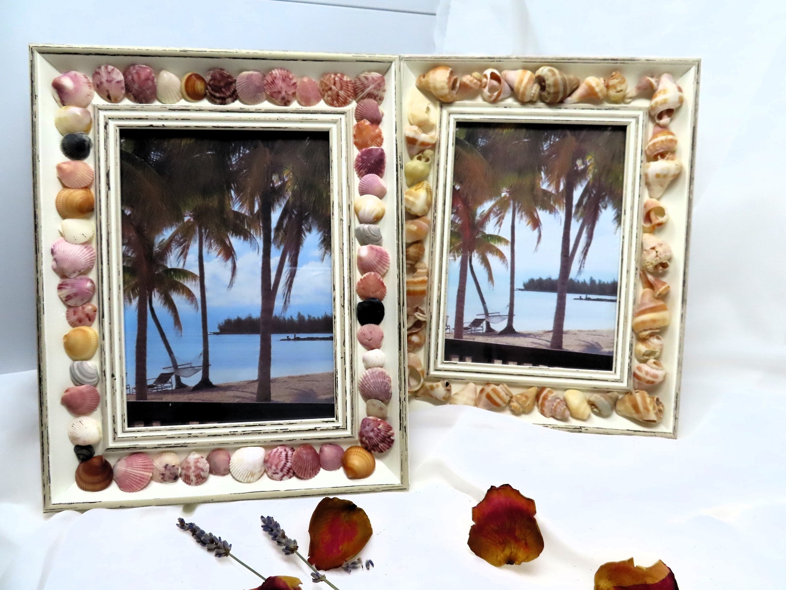 Tropical Frame, White Picture Frame, Nautical Frame, Distressed White ...