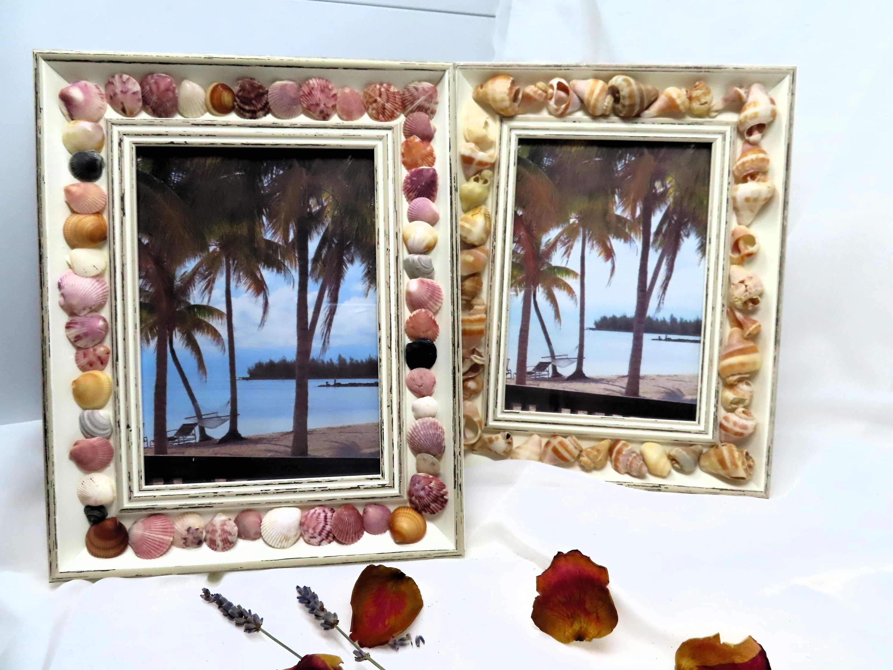 Tropical Frame, White Picture Frame, Nautical Frame, Distressed White ...