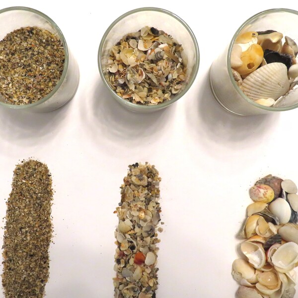 Seashells and Sand - Etsy