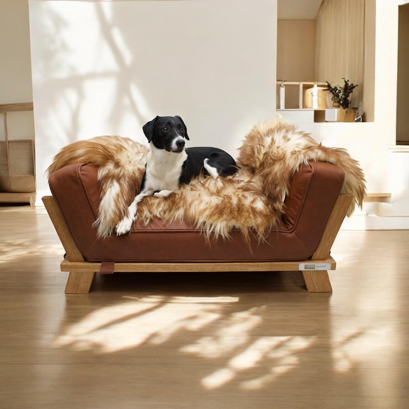 Luxury Dog Bed - Etsy