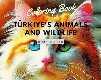 Turkiyes Cultural Symbols Coloring Book, Printable PDF, Antalya ...