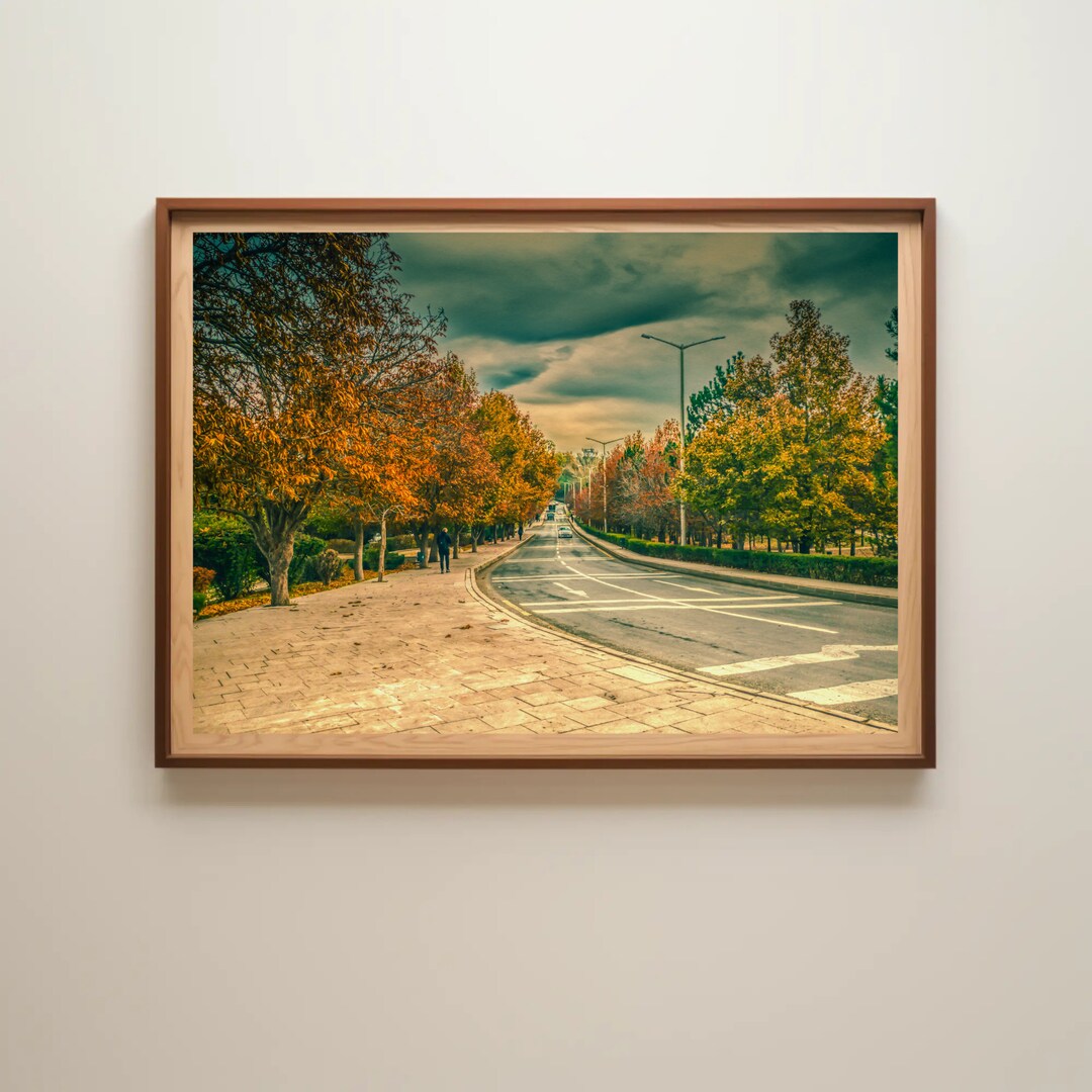 Photo of Trees, Road, Cars, Street in Autumn - Etsy