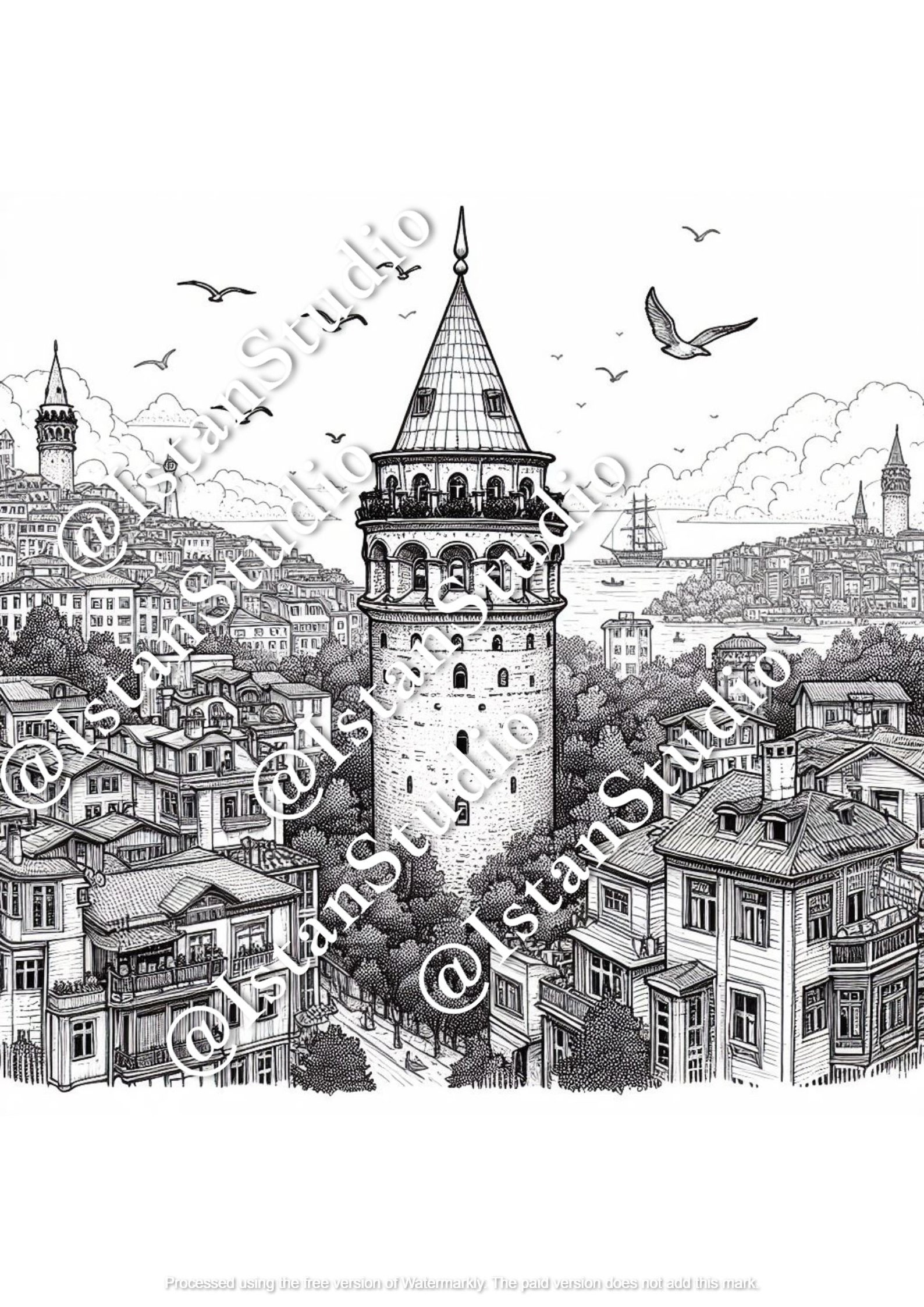 Istanbul City Colouring Book, Printable PDF, Turkey Bosphorus, Cats ...