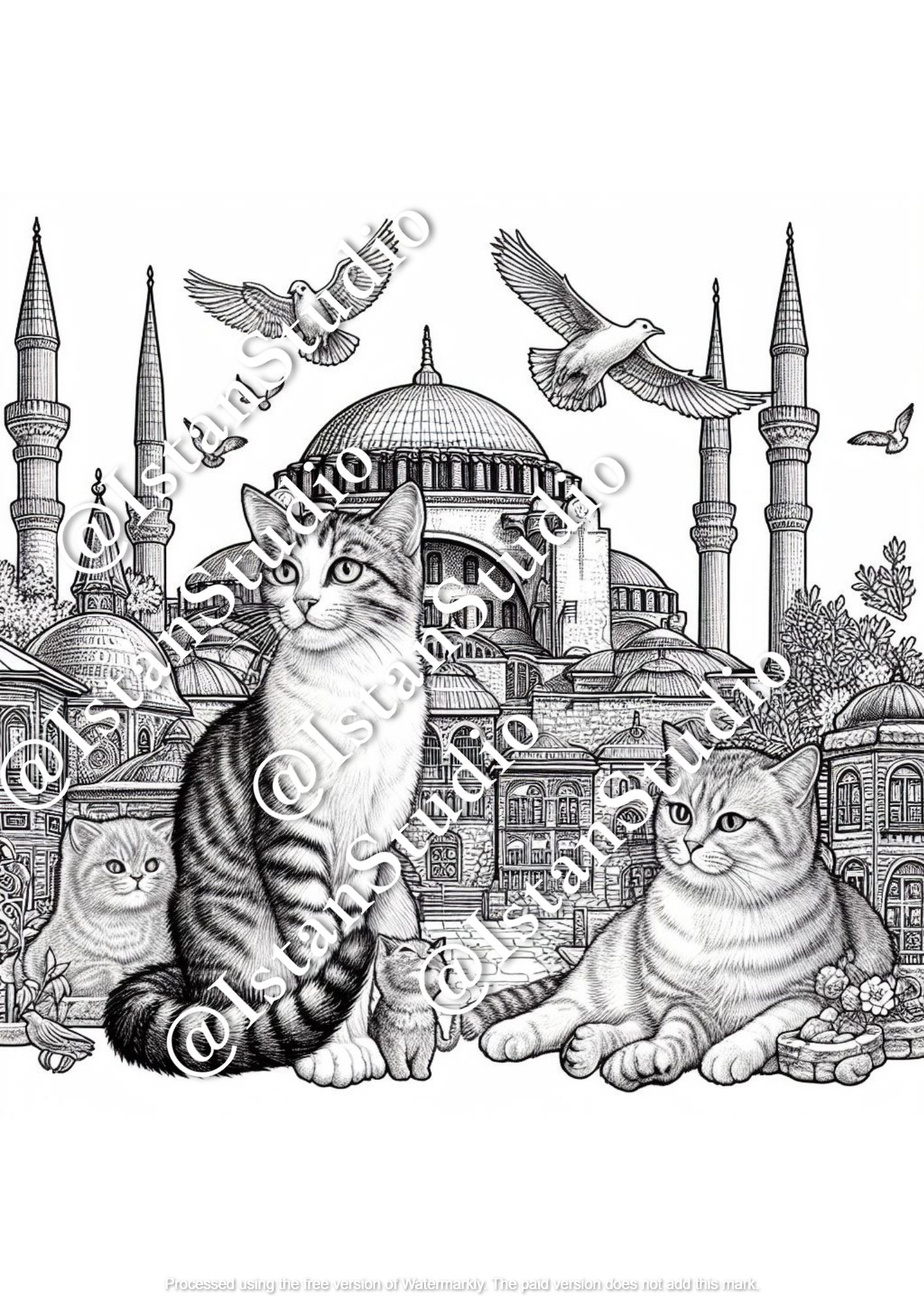 Istanbul City Colouring Book, Printable PDF, Turkey Bosphorus, Cats ...