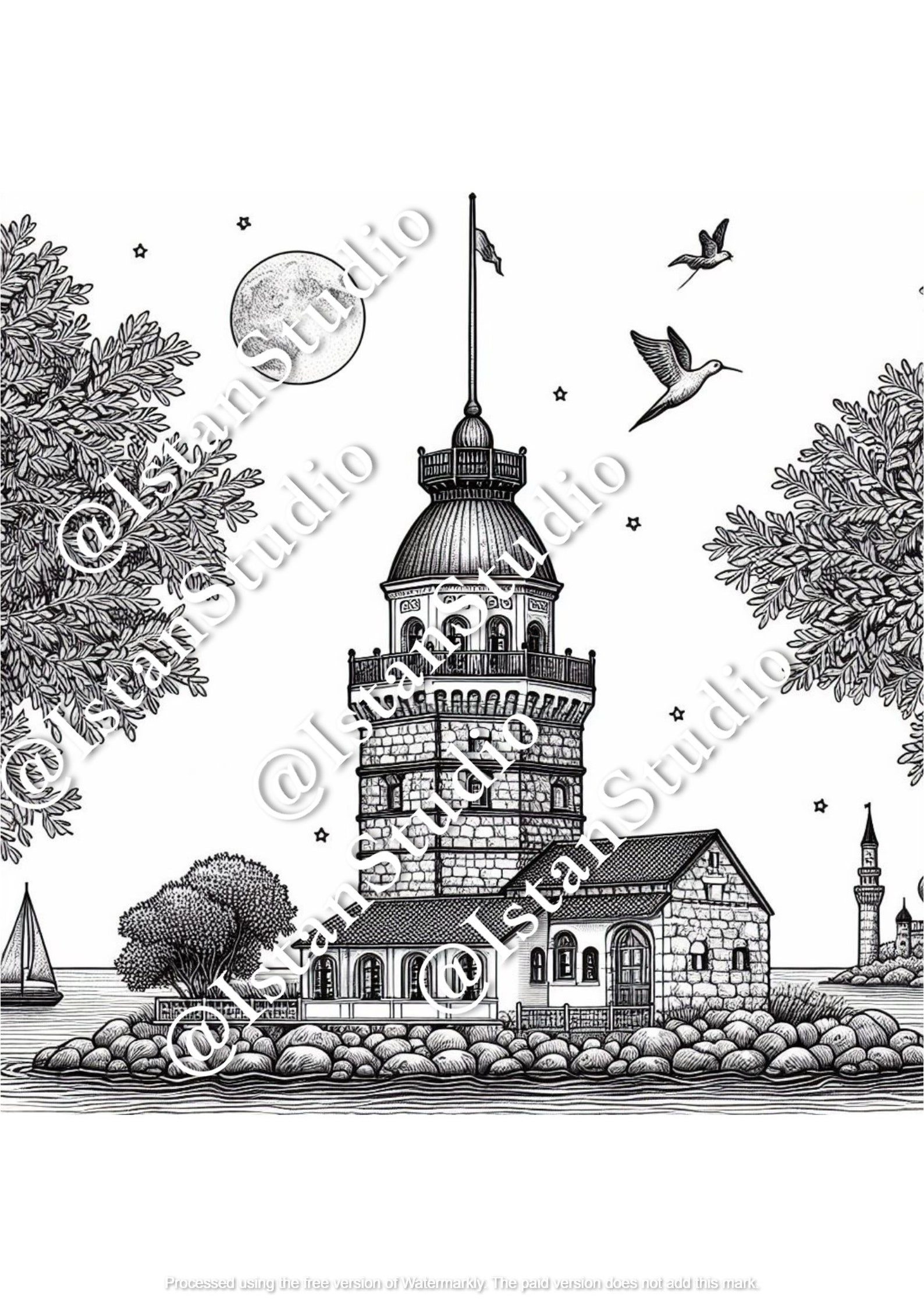 Istanbul City Colouring Book, Printable PDF, Turkey Bosphorus, Cats ...