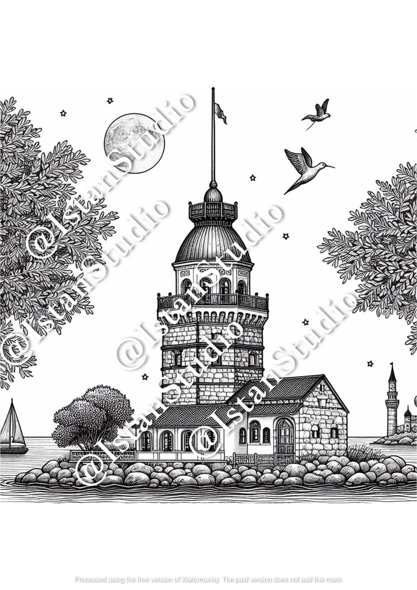 Istanbul City Colouring Book, Printable PDF, Turkey Bosphorus, Cats ...