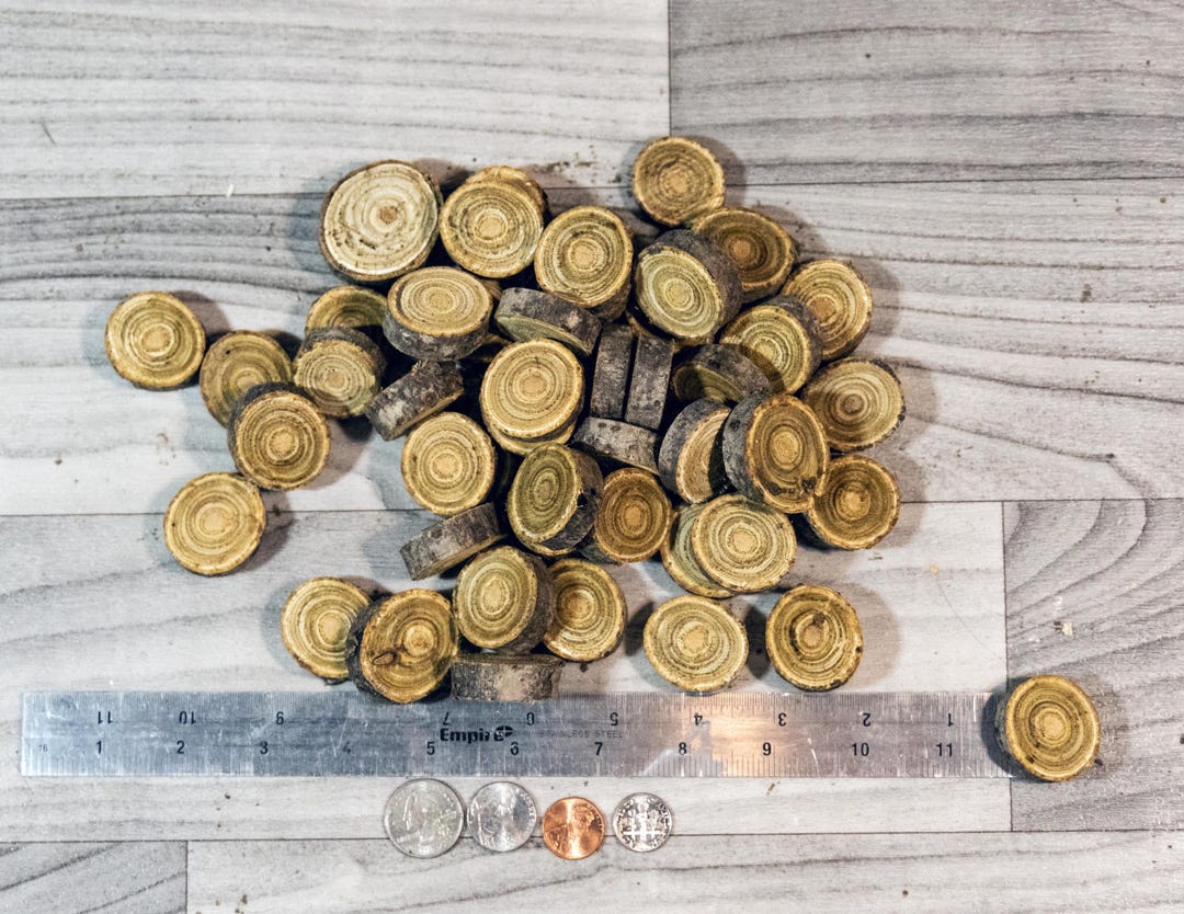 50 Sumac Wood Slices - Etsy