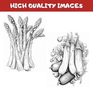 12 Grayscale Vegetable Coloring Book | Printable Adult Coloring Pages ...
