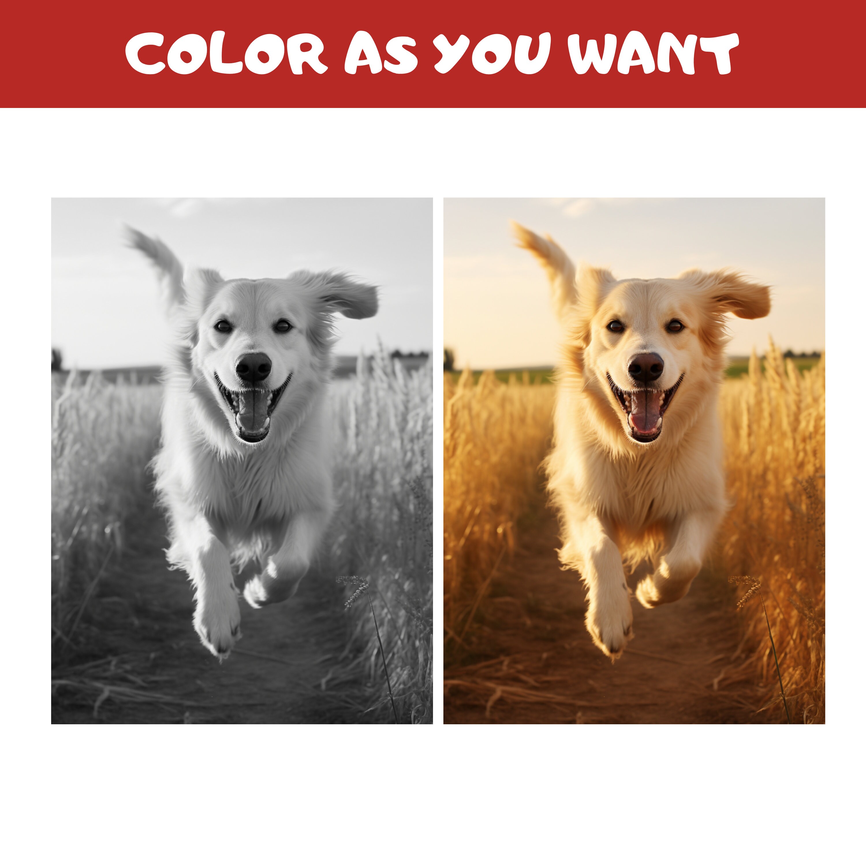 15 Grayscale Dogs Coloring Book | Printable Adult Coloring Pages ...