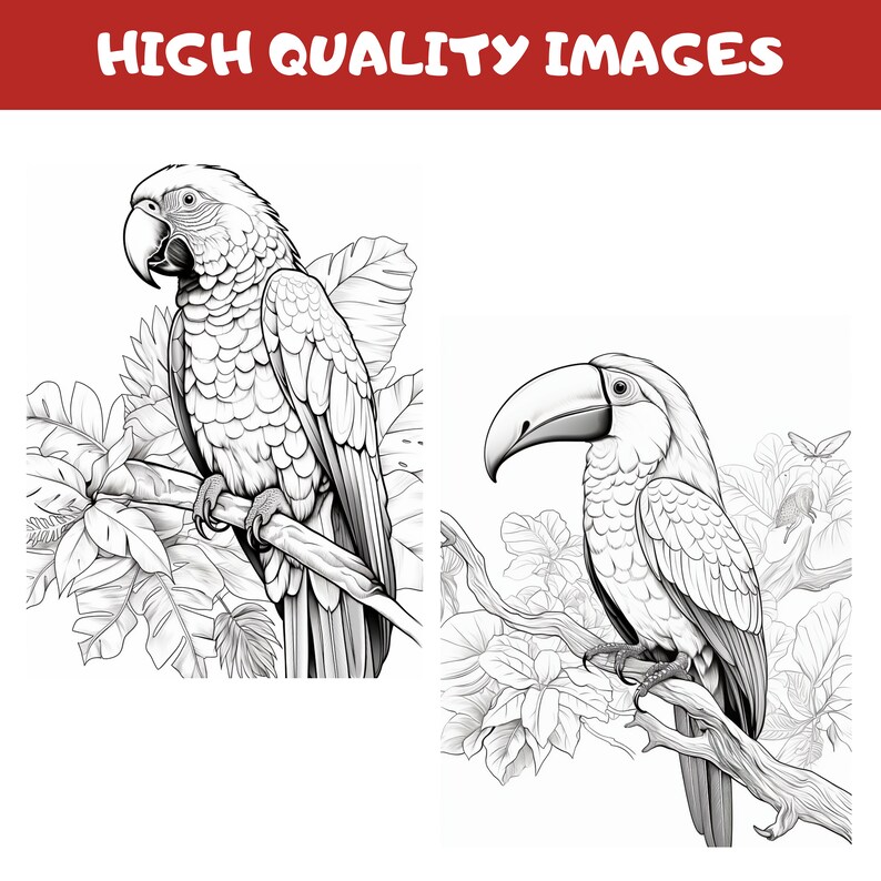 25 Grayscale Land Bird Coloring Book | Printable Adult Coloring Pages ...
