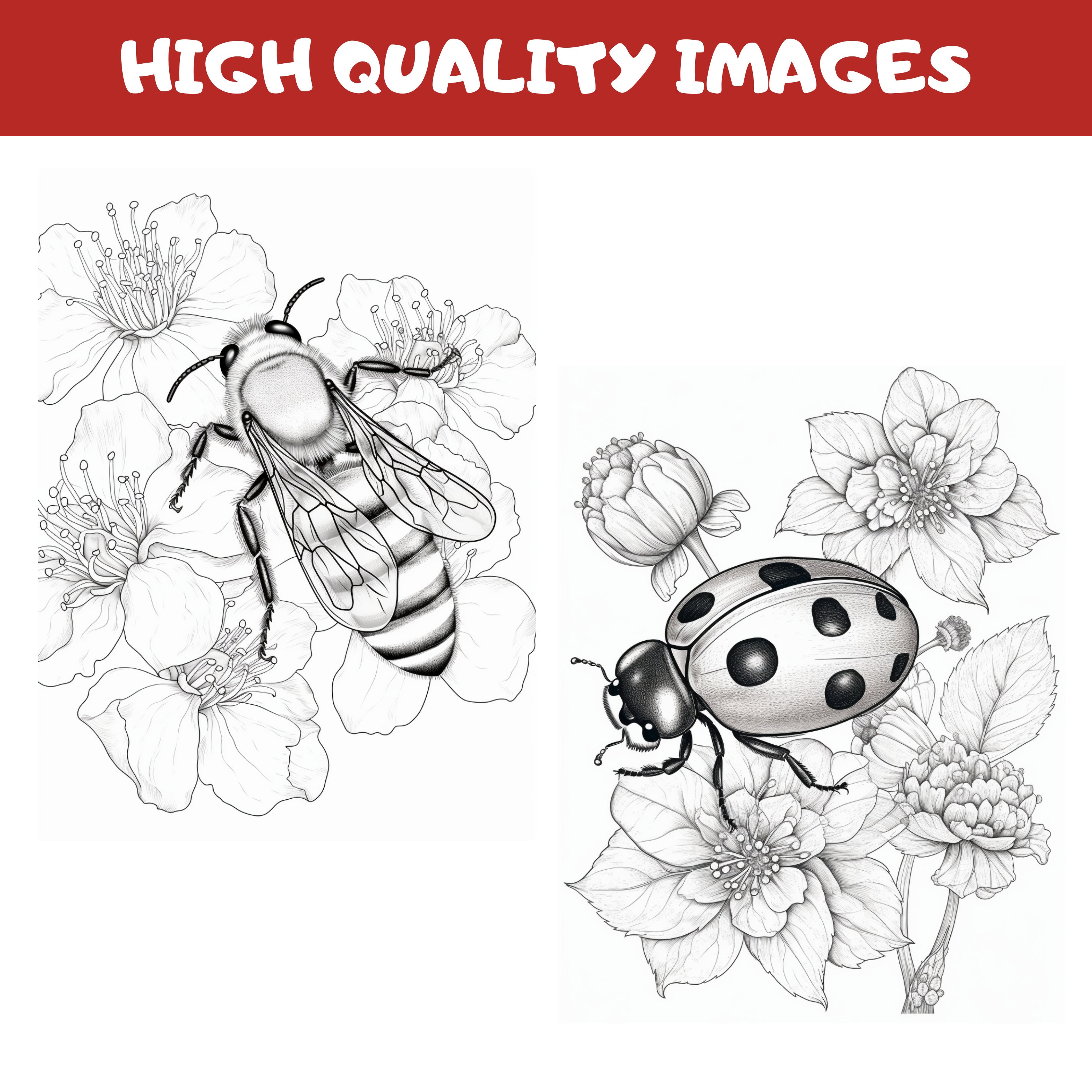 12 Grayscale Insect Coloring Book | Printable Adult Coloring Pages ...