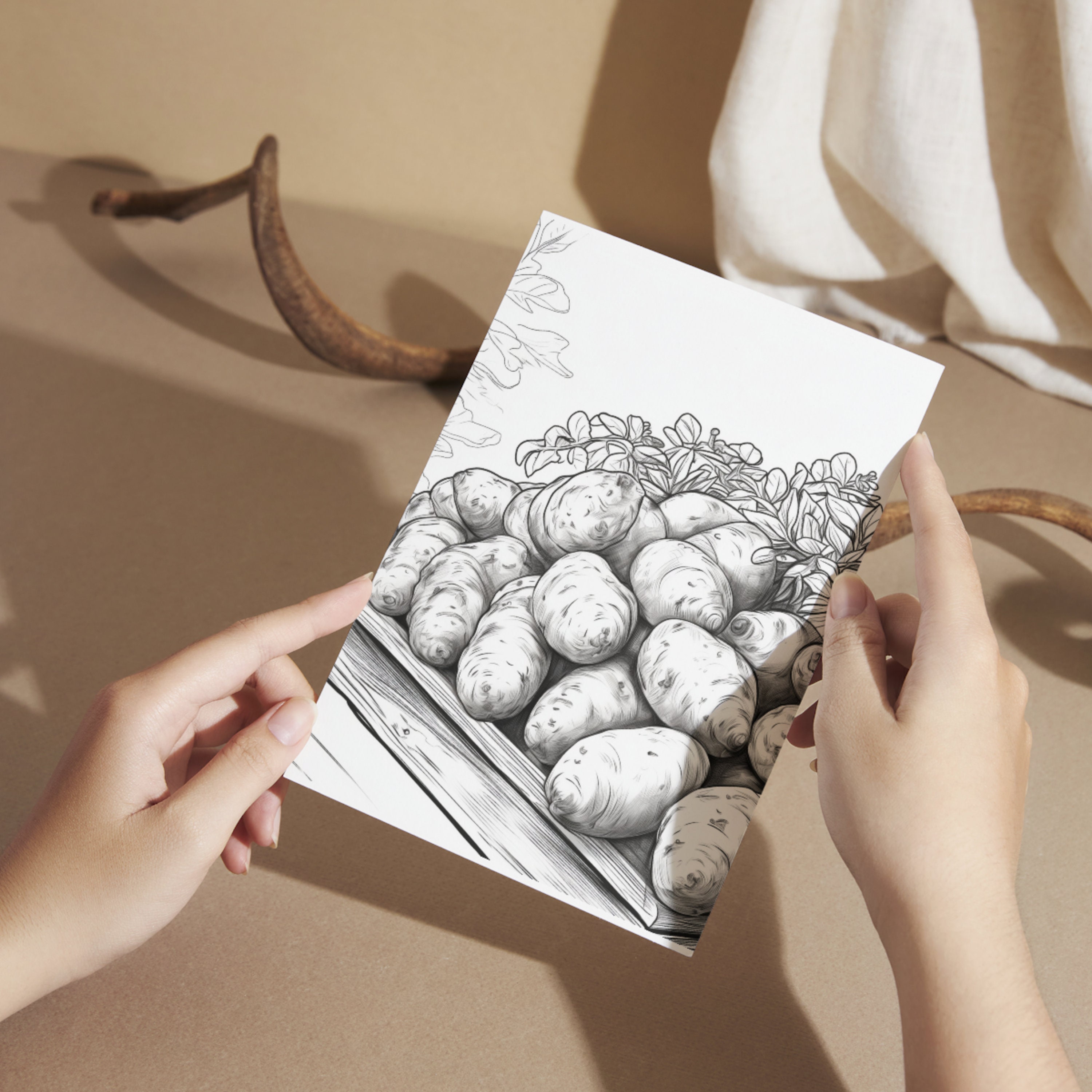 12 Grayscale Vegetable Coloring Book | Printable Adult Coloring Pages ...
