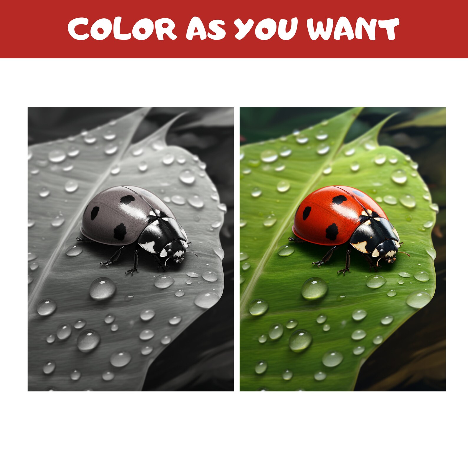 12 Grayscale Insect Coloring Book Printable Adult Coloring Pages ...