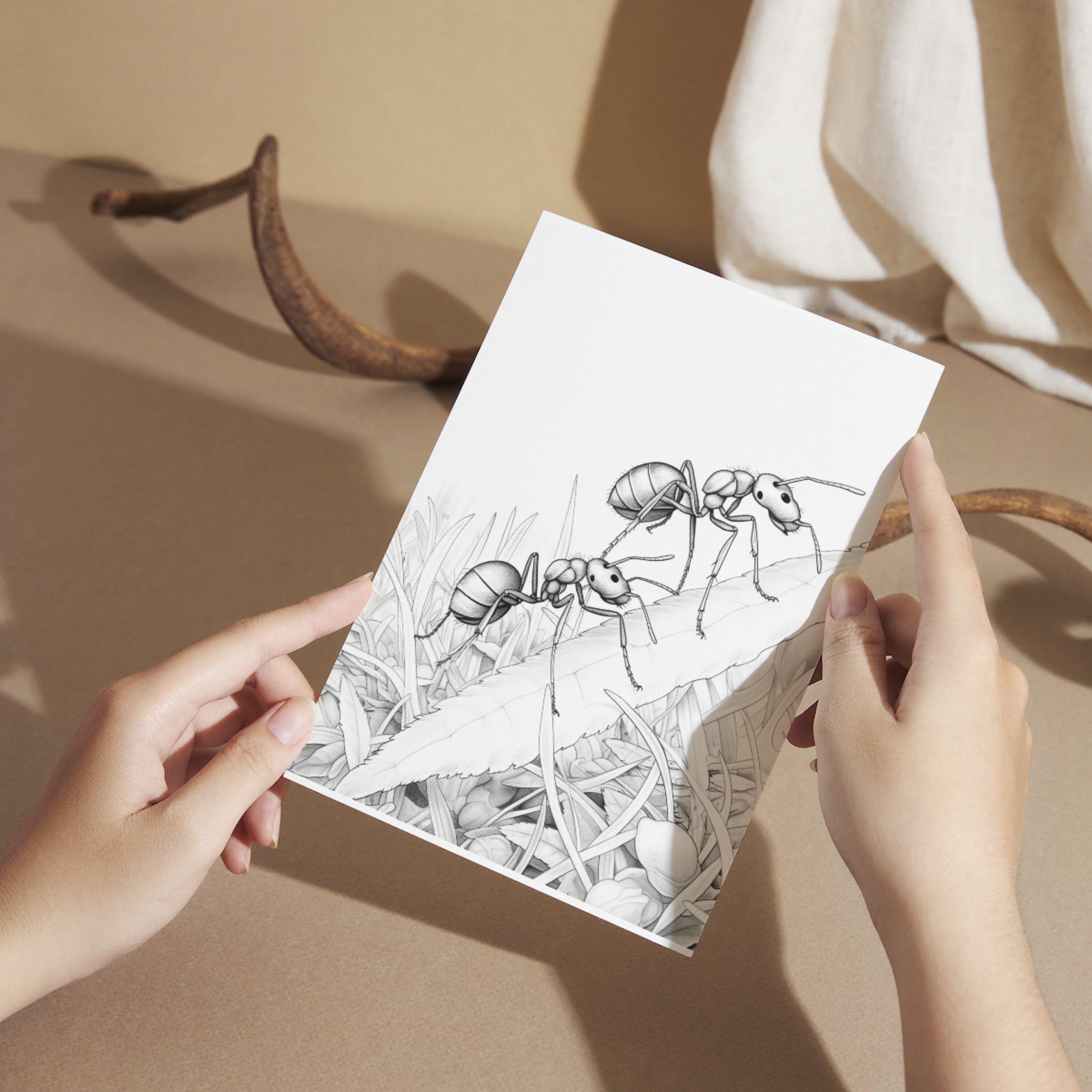 12 Grayscale Insect Coloring Book Printable Adult Coloring Pages ...