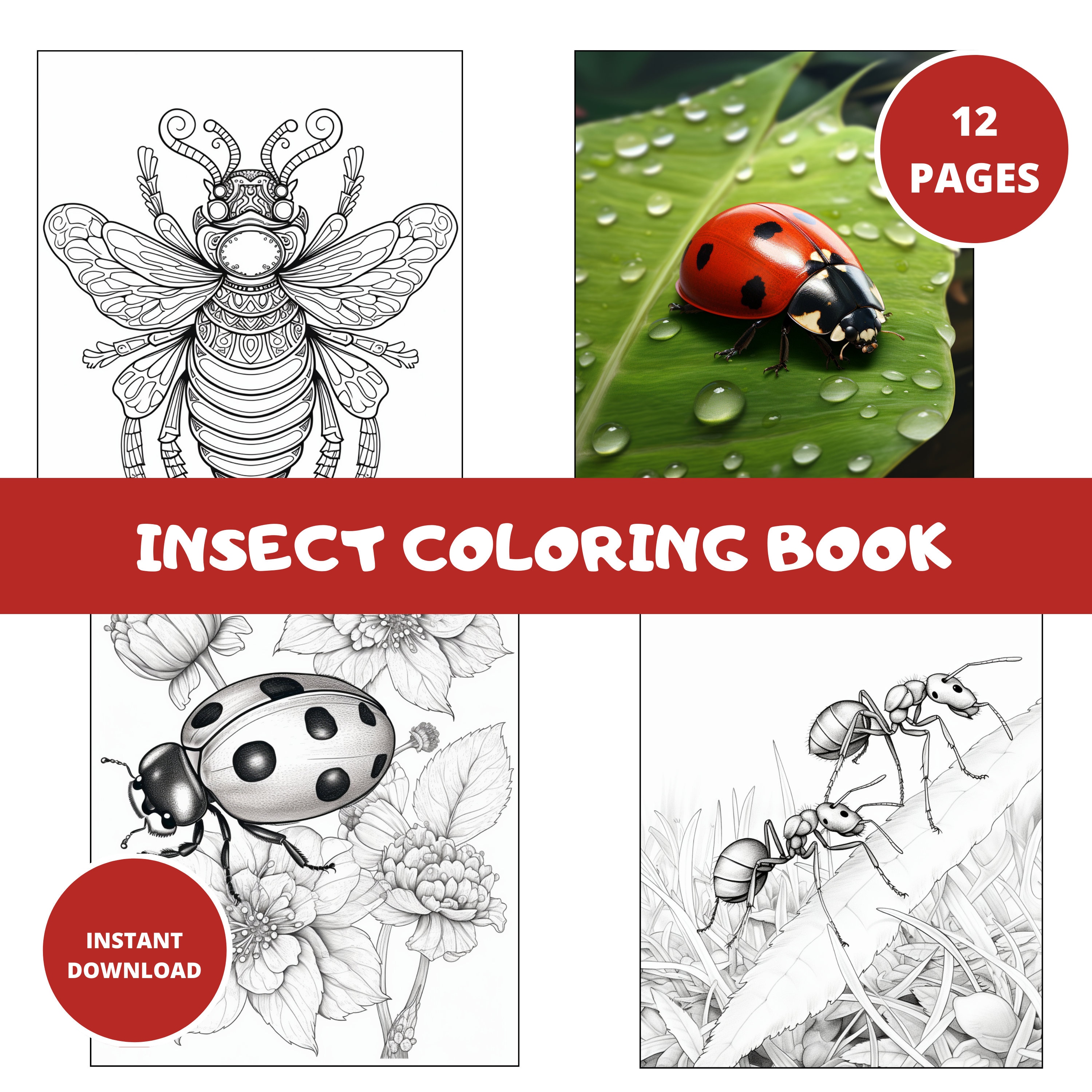 12 Grayscale Insect Coloring Book | Printable Adult Coloring Pages ...
