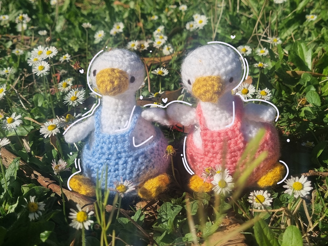 Goose in Overalls Digital Crochet Pattern - Etsy