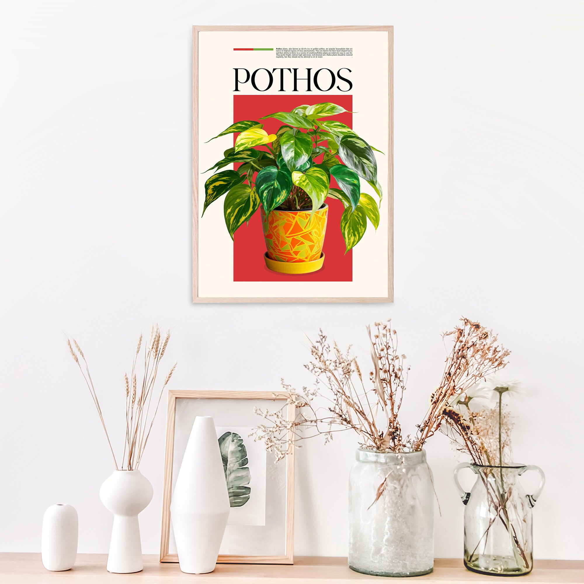 Pothos, Plant Poster, Home Decor, Houseplant Poster, Plant Print, Plant ...