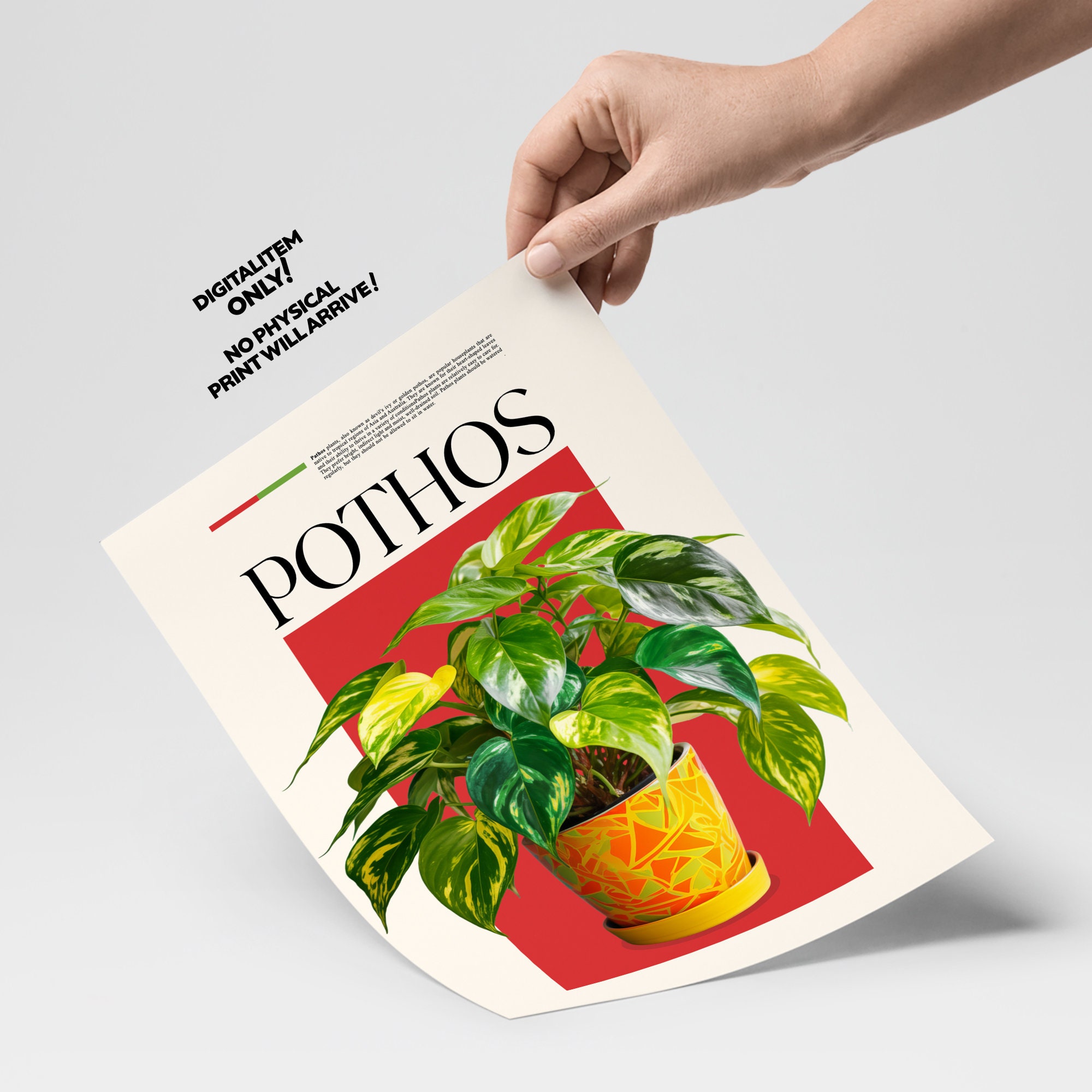 Pothos Plant Poster Home Decor Houseplant Poster Plant - Etsy