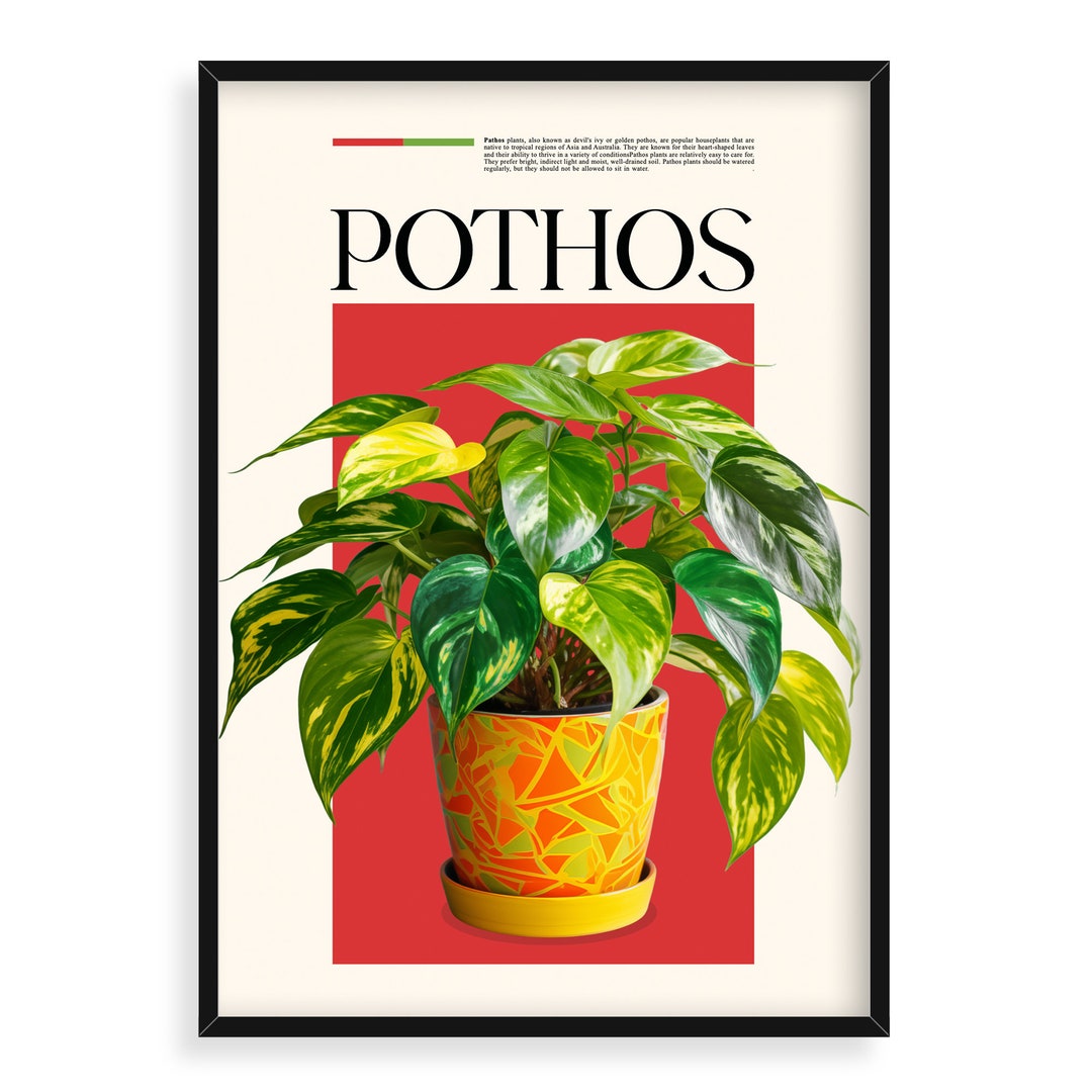 Pothos, Plant Poster, Home Decor, Houseplant Poster, Plant Print, Plant ...