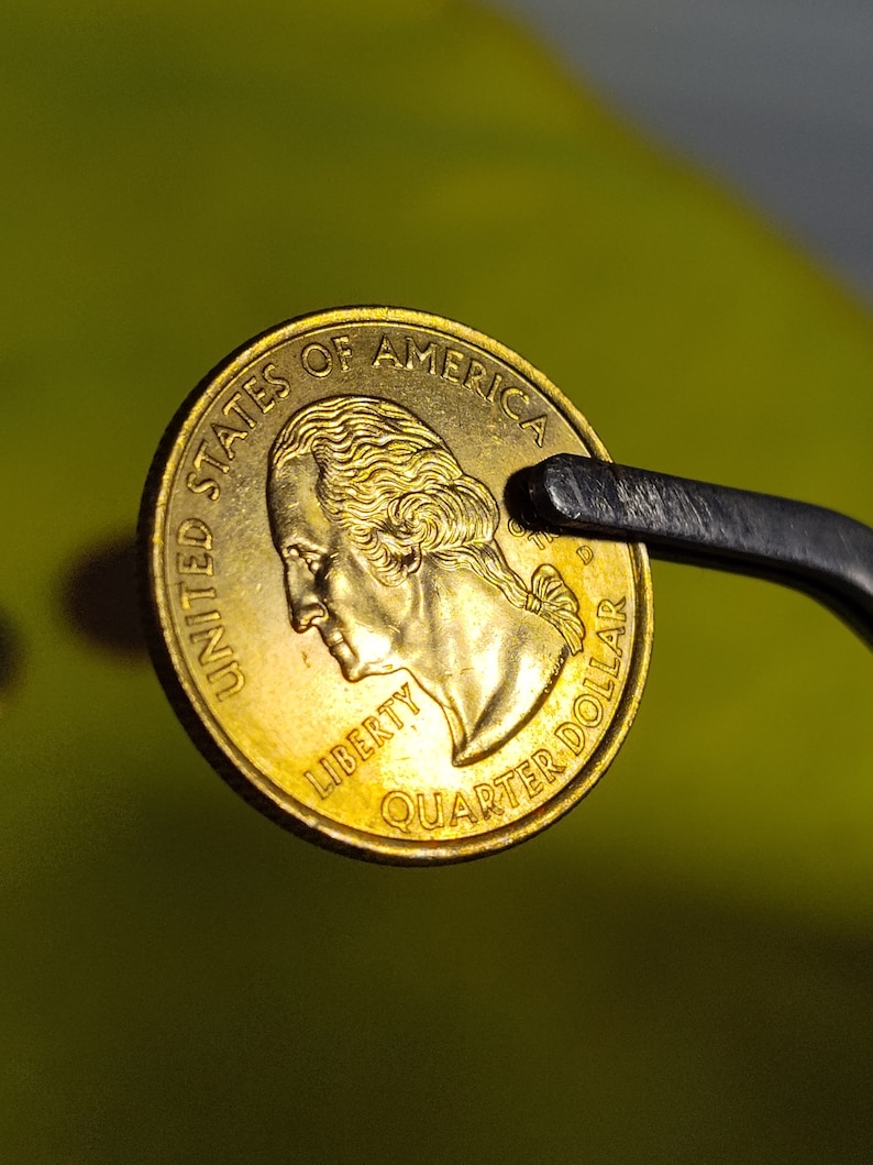 Gold Plated Quarters-24k Pure Gold, Individual or Roll WHOLESALE - Etsy