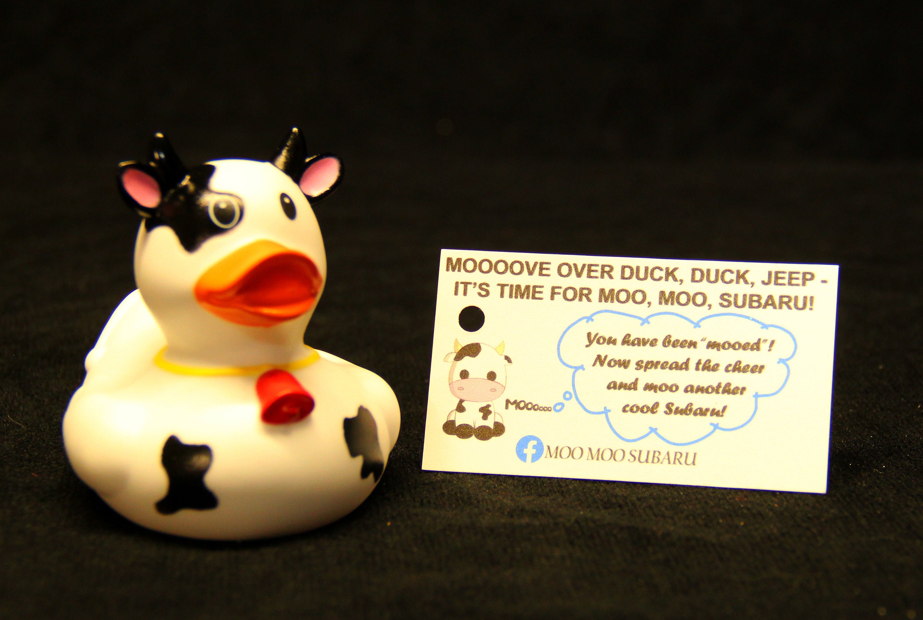 Moo Moo Subaru 6 Rubber Cow With Bell Comes With Cards and Rubber Bands ...