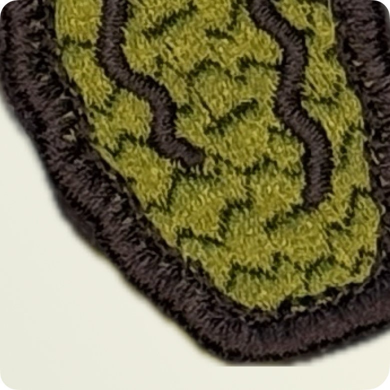 Smiling Pickle Patch Set Iron-on & Sew-on , Sticker Cute Veggie ...