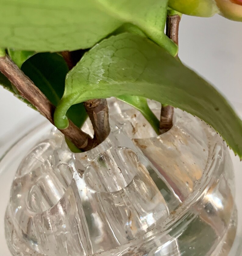 Vintage Westmorland 7 Hole Glass Clear Flower Frog - Etsy